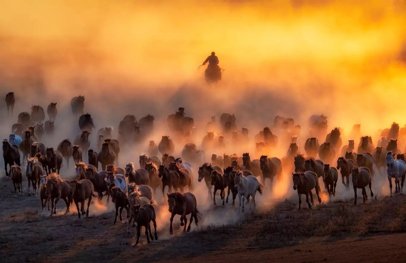 当太阳即将照射最后一缕阳光时，数百匹马正在疾驰。传统上说，蒙古人没有马，就像鸟儿没有翅膀，这就是人与动物之间的紧密联系，值得我们欣赏。版权所有：© Tien Sang Kok，马来西亚，2020 年索尼世界摄影奖国家奖得主