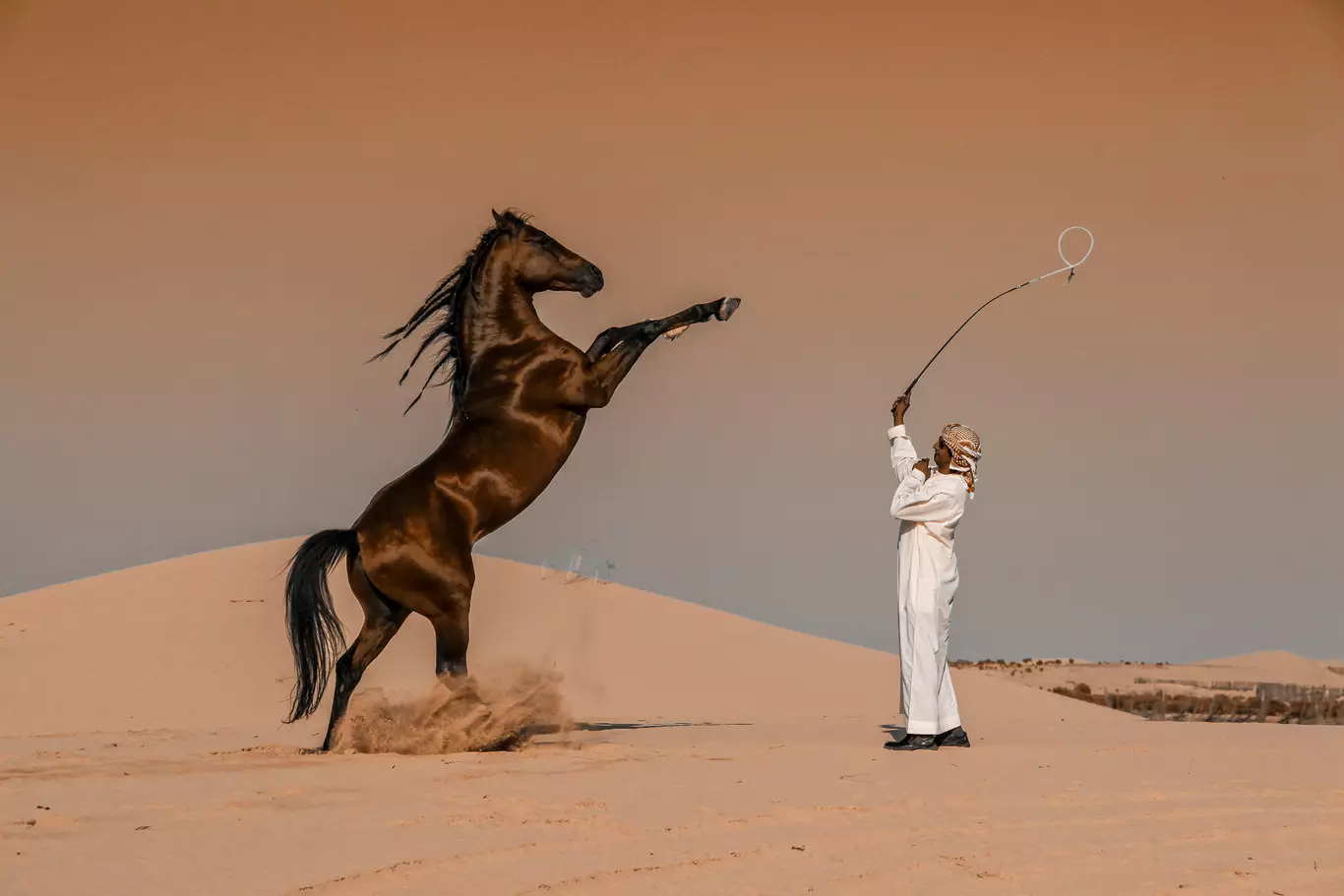 Аббас Алхаміс, Саудівська Аравія, переможець Національної премії Sony World Photography Awards 2020
