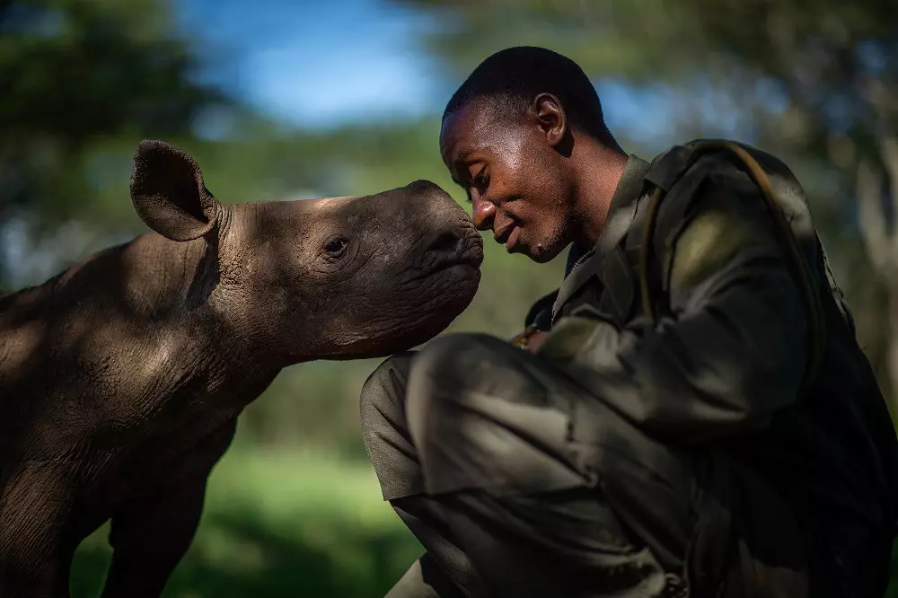 Martin Buzora Wildlife Photographer Of The Year Highly