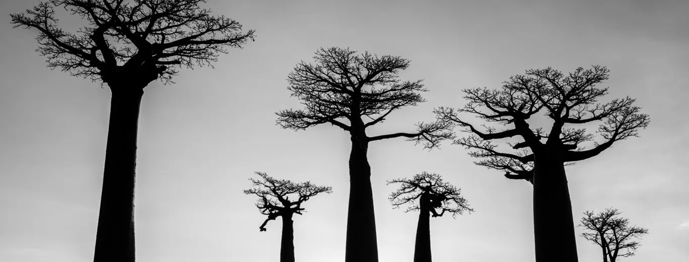 Mga Nanalo sa Travel Photographer of the Year 2019 travel photography contest