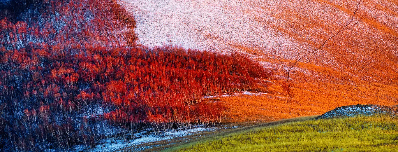 Gewinner des Landschaftsfotografie-Wettbewerbs Internationaler Gartenfotograf des Jahres