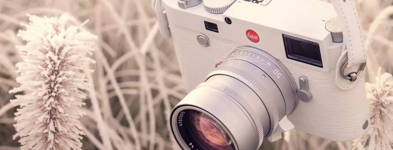 Leica M10-P Белый полностью белый специальный выпуск дальномера Leica