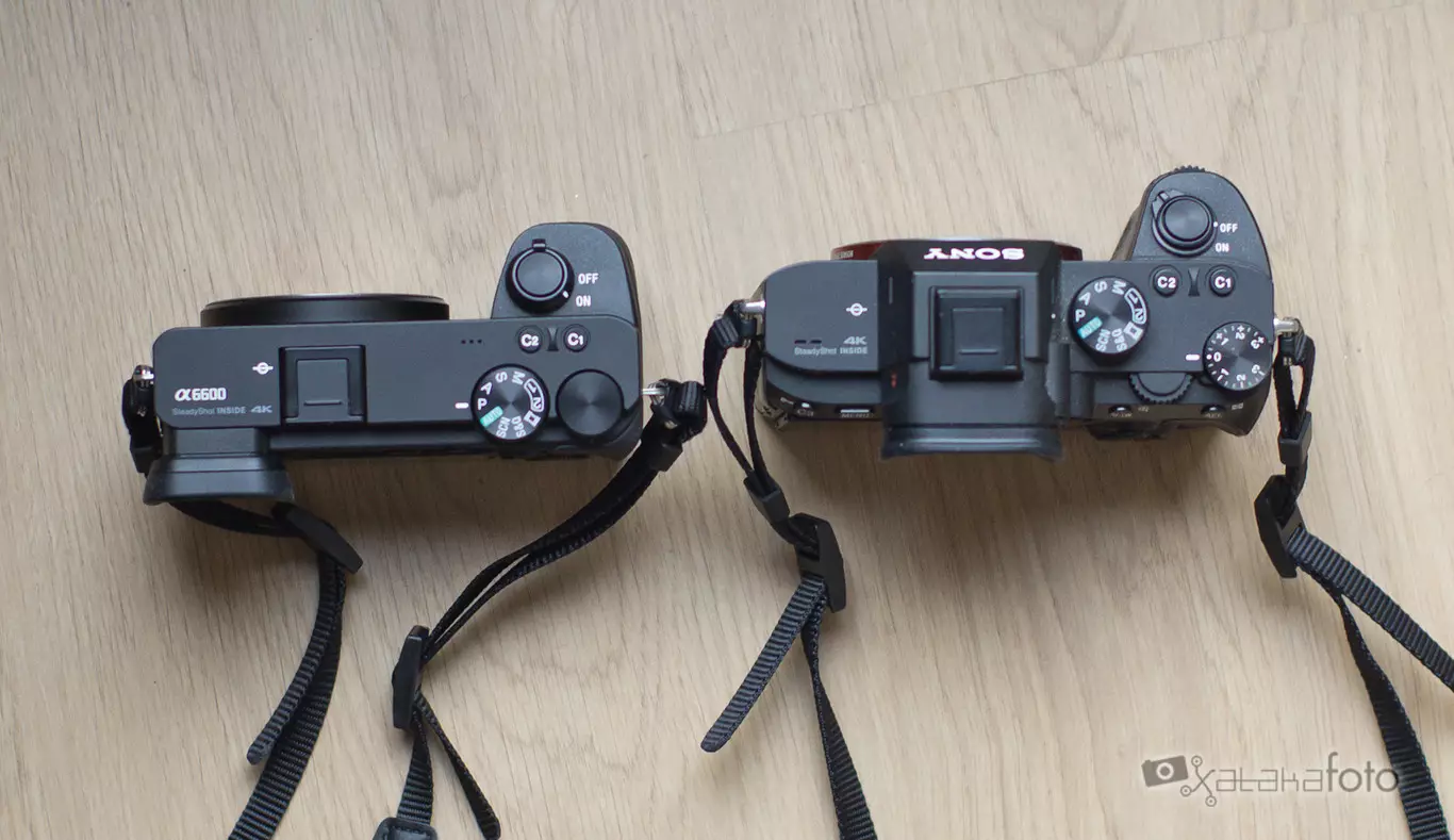 Sony A6600 recensie