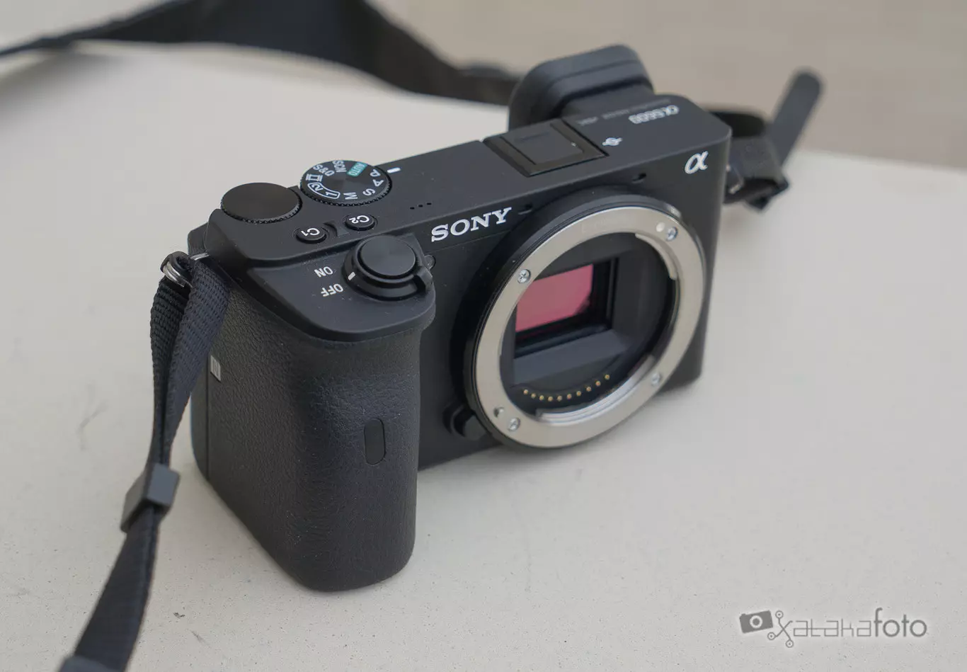 Sony A6600 Review