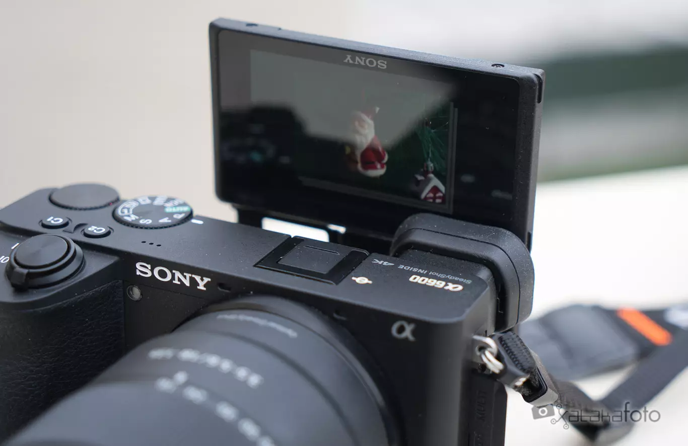 Преглед на Sony A6600