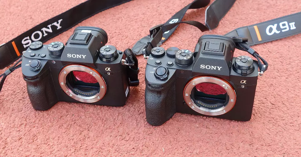 Sony A9 II Nehmen Sie Kontakt auf 10