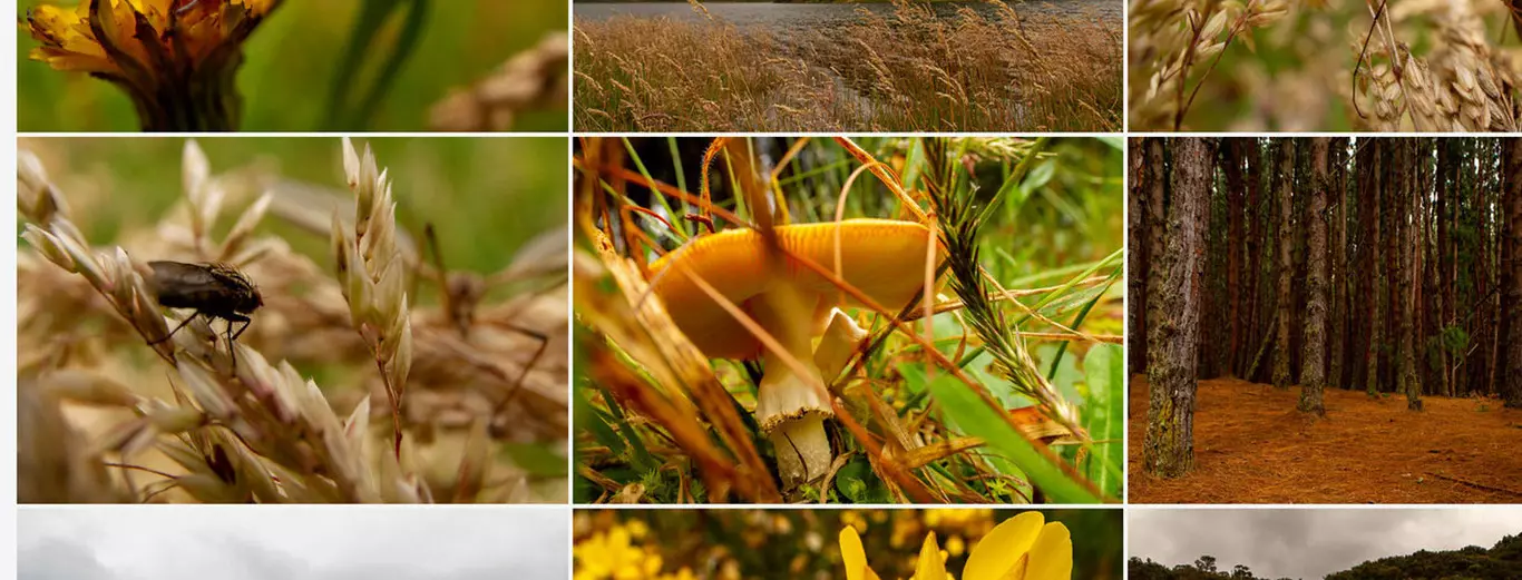 Flickr terus memperbarui antarmukanya dan sekarang memungkinkan Anda menampilkan gambar pada resolusi 6K