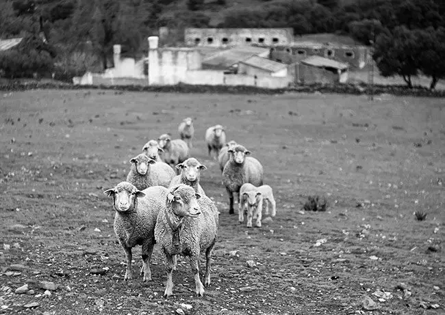 हाम्रो साथमा बीईईईईईईईई