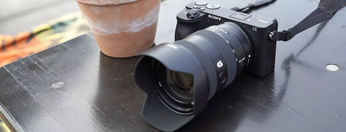 Sony A6600, práctica con fotos de mostra