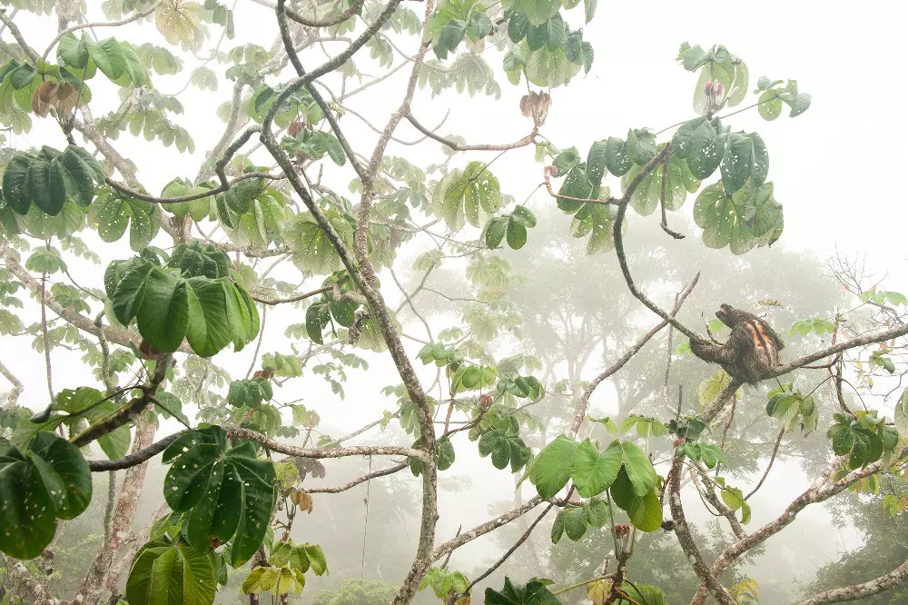 C Carlos Perez Naval Wildlife Photographer of the Year