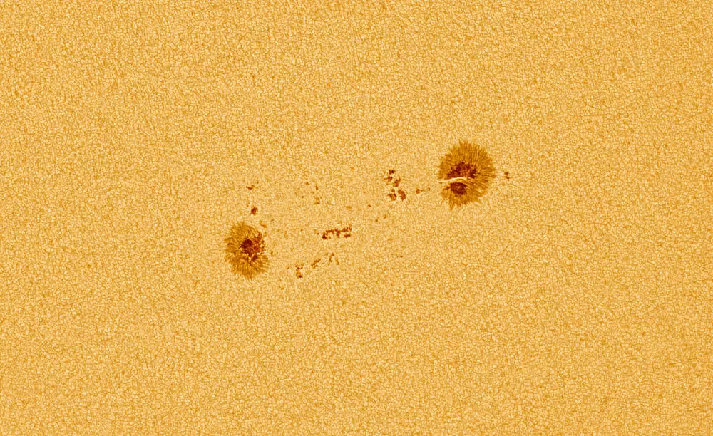 Ar12699 Sunspot