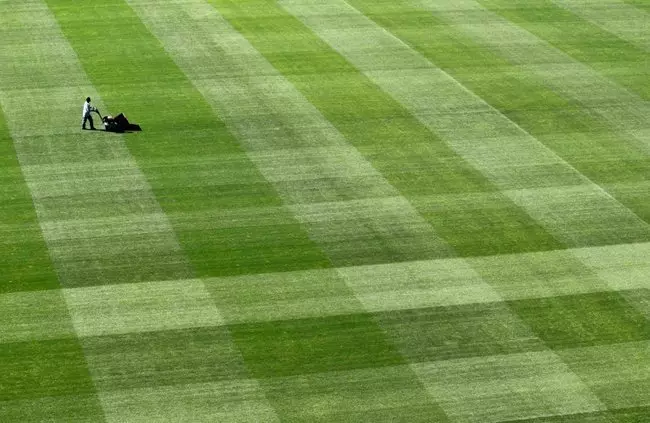 Preparing for the World Cup, 39 photos to inspire you