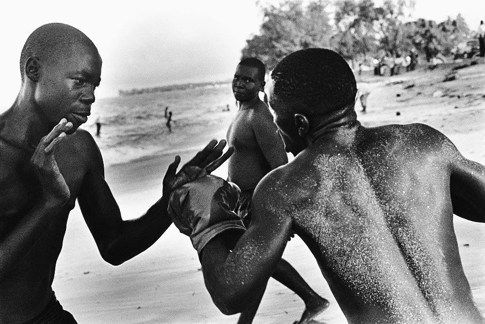 Боксери на плажа
