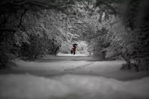 snow-scenes-2.jpg
