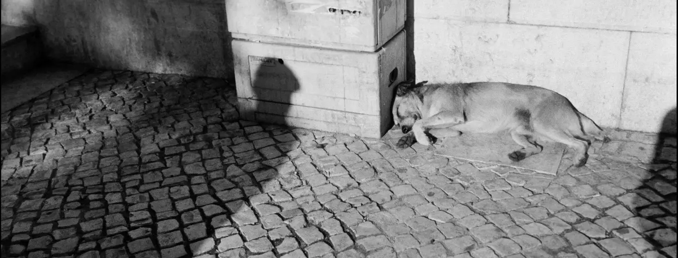 Det tredje trin i det fotografiske projekt: Udgaven