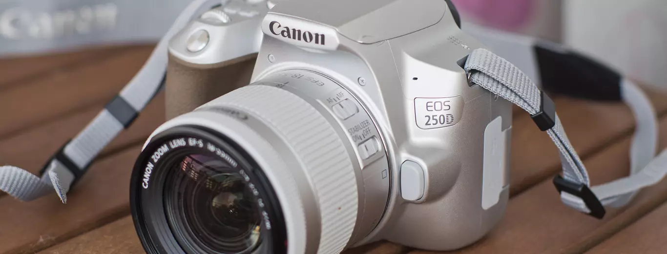 Canon EOS 250D, тойм: шинж чанар, үнэ, техникийн үзүүлэлтүүдийн хамт тойм