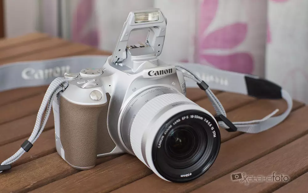 Canon Eos 250d Review
