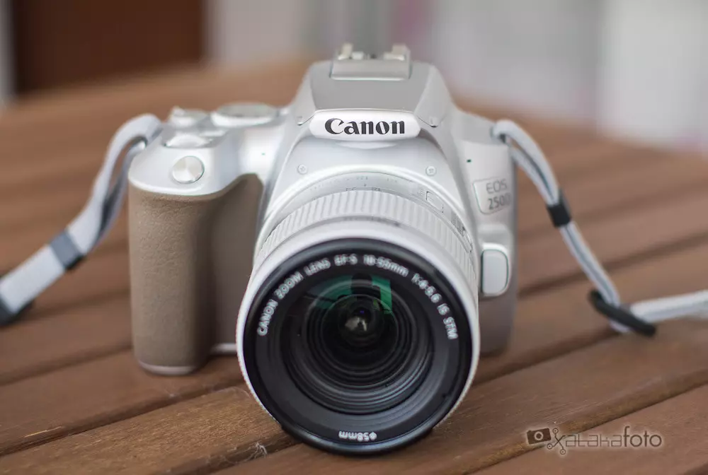 Canon Eos 250d Review