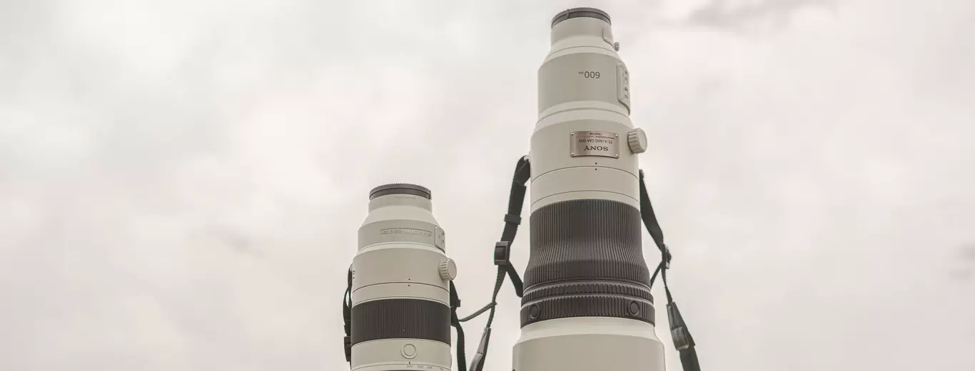 ソニーFE600mmF4GMOSSおよびFE200-600mmF5.6-6.3 G OSS：新しい望遠レンズ