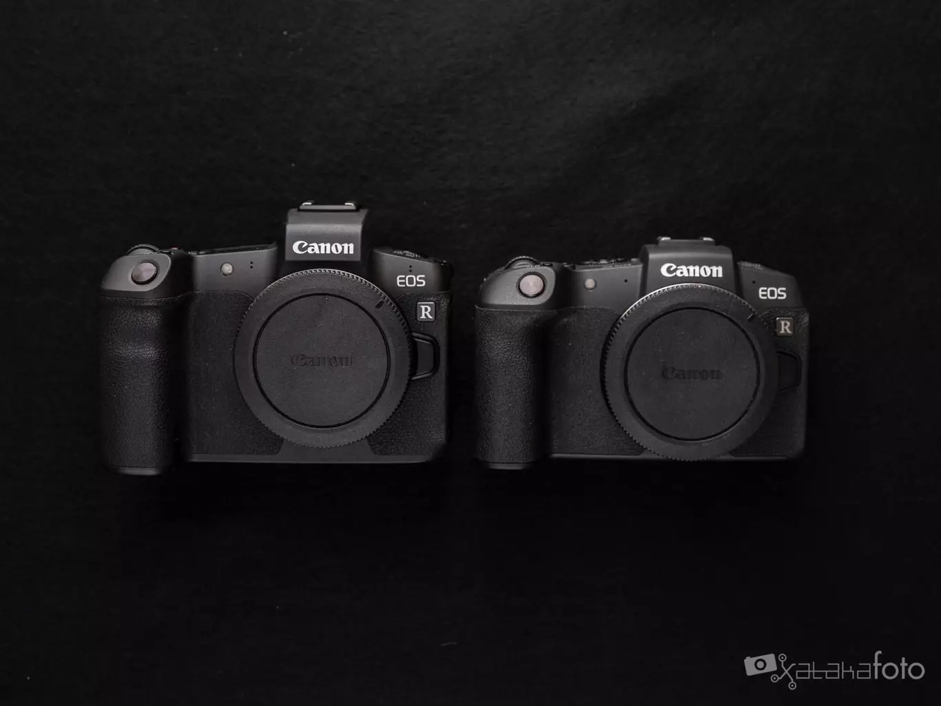 Canon EOS R против Canon EOS RP