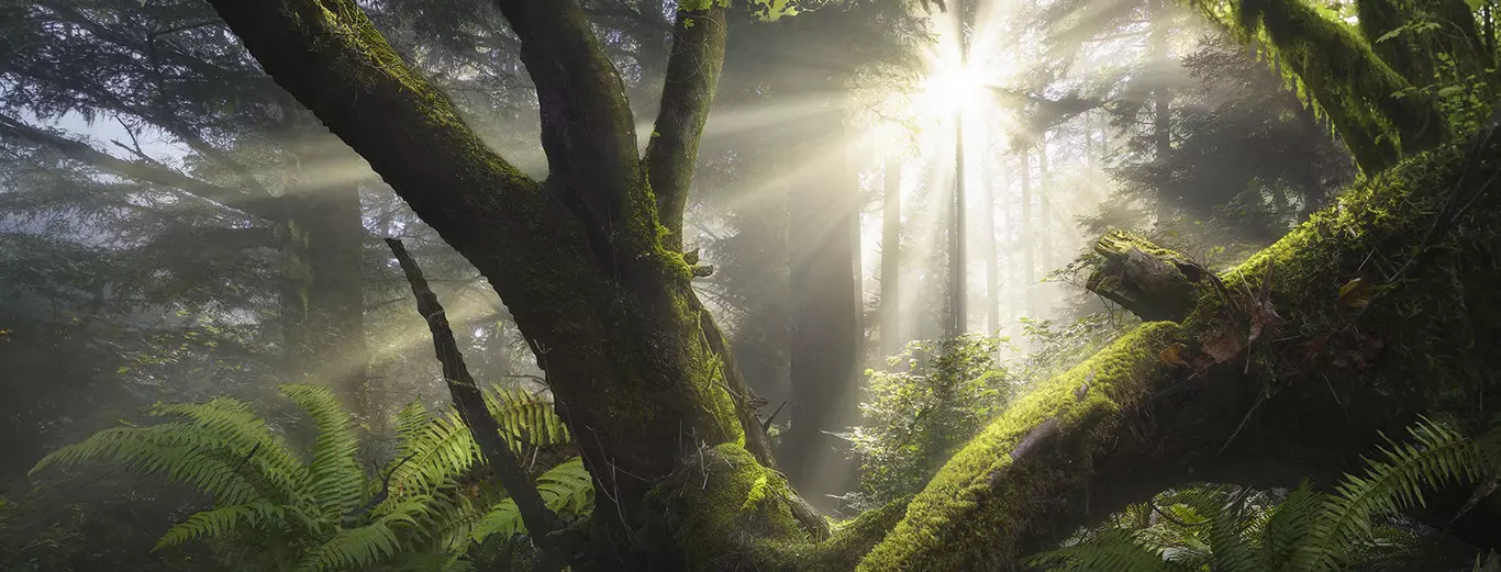 Gewënner Den Internationale Landschaftsfotograf vum Joer 2018 Landschaftsconcours