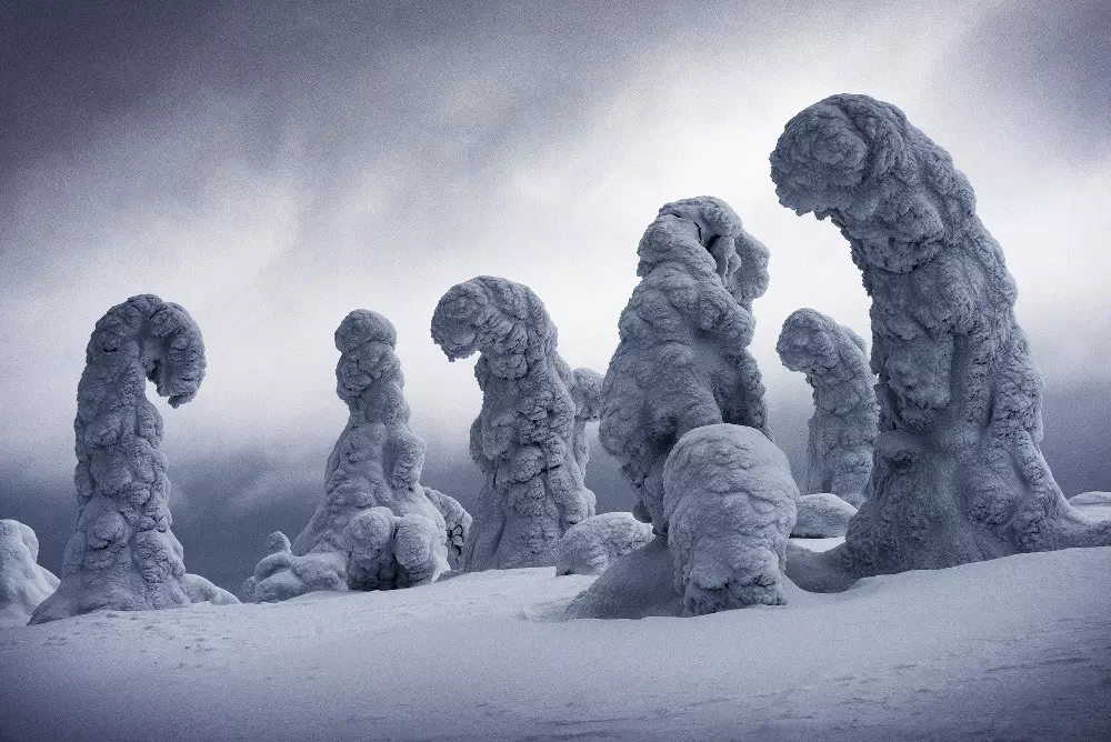 Frozen Giants Ignacio