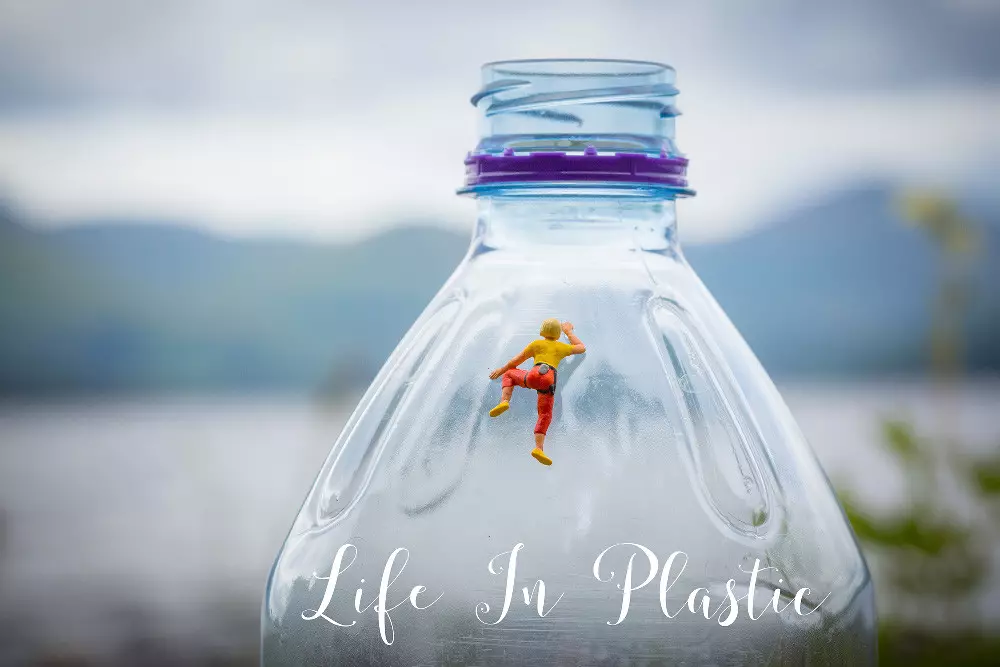 Jeta në plastikë David Guilliver 6