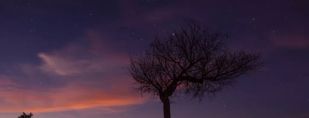 Polarizációs szűrők használata, a legjobb lencsék és még sok más: Xatak Galaxy