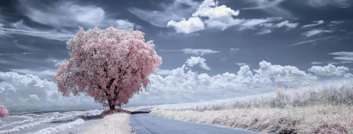 Fiidiyowga waqtiga ee 'Infrascapes' ee xallinta 8K ee sawir qaadista infrared