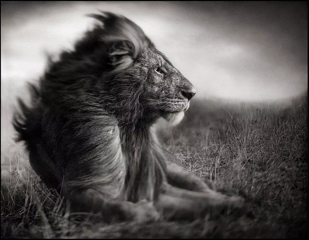 Sebastian Salgado