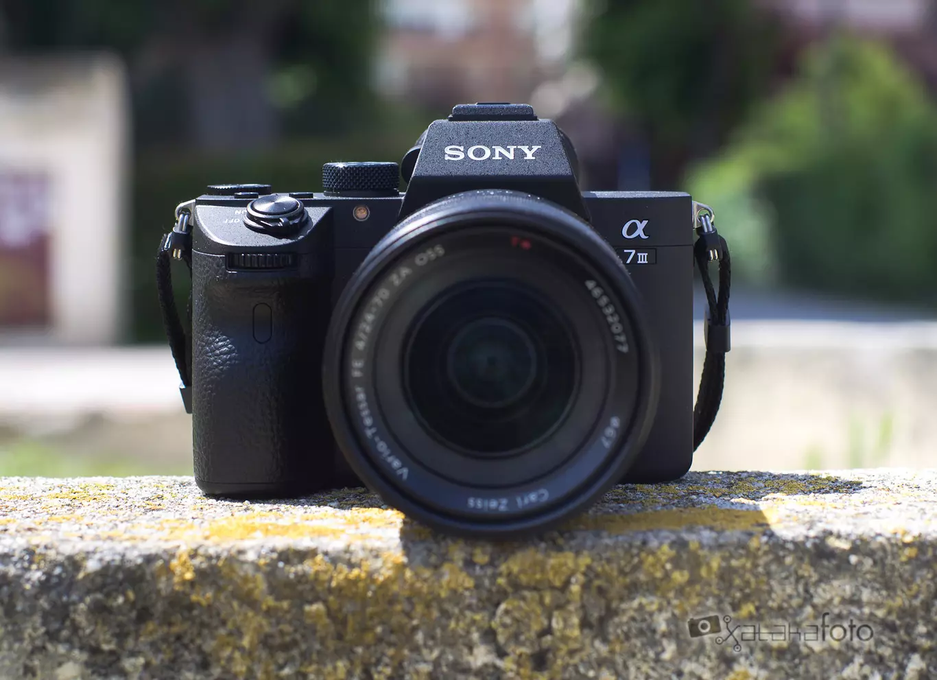 Sony A7iii тест 000