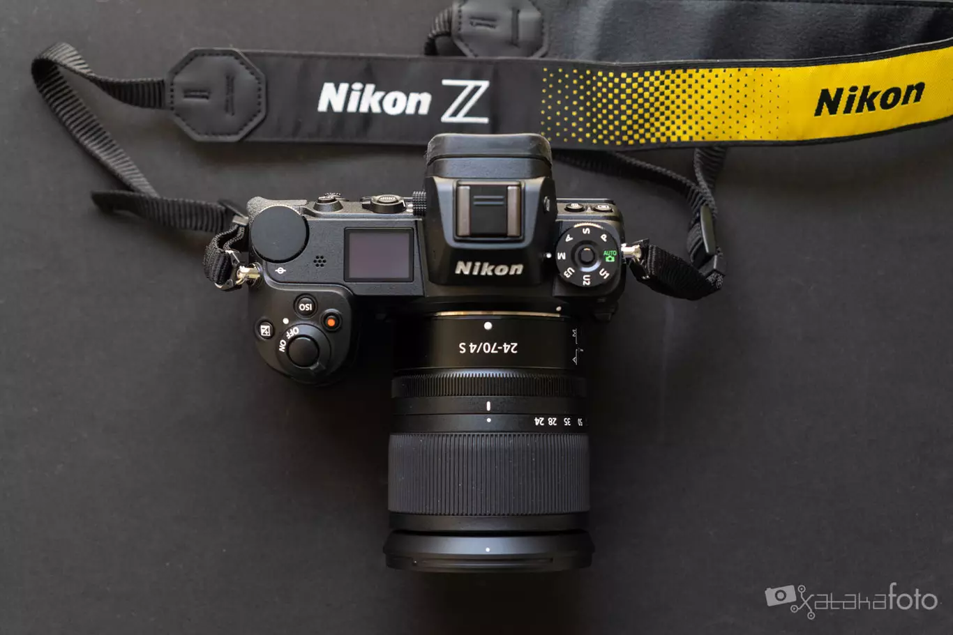 Nikon Z7 00055