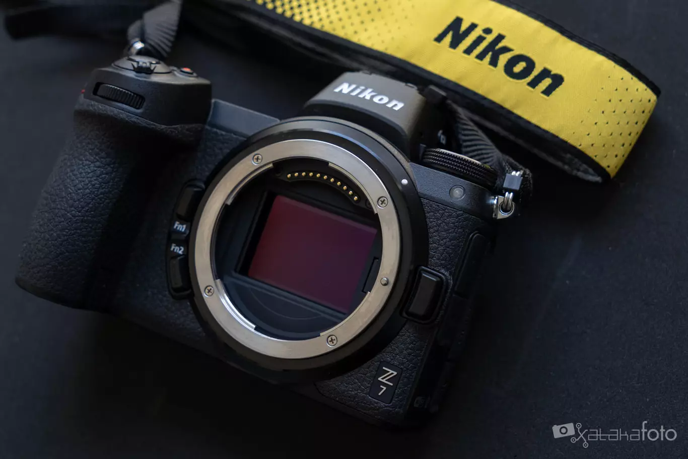 I-Nikon Z7 00051