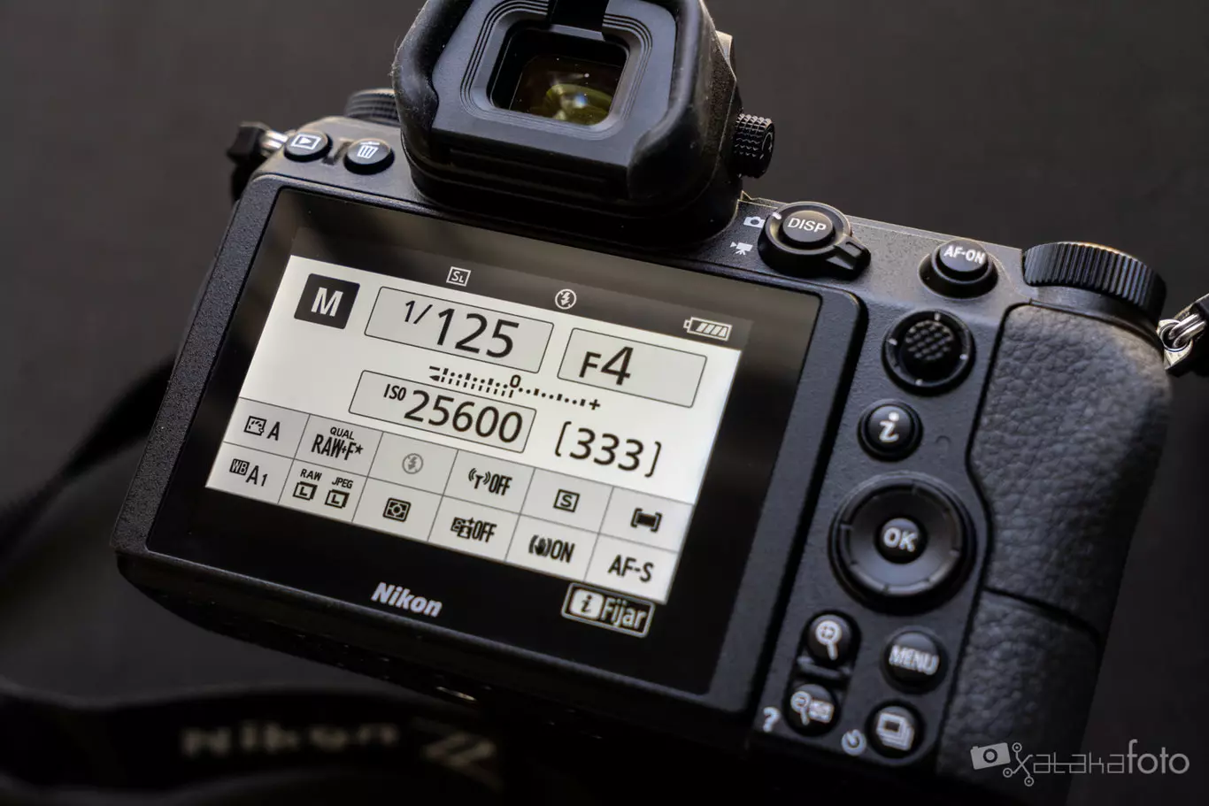 I-Nikon Z7 00088