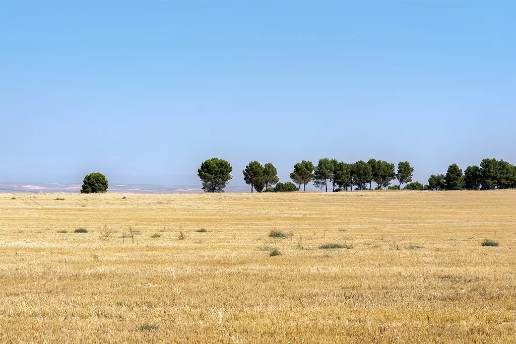 Կոմպլյուիի