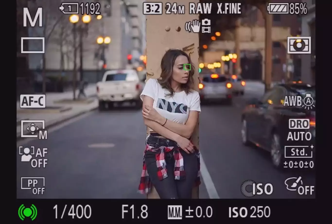 Viewfinder Sony A7iii 01