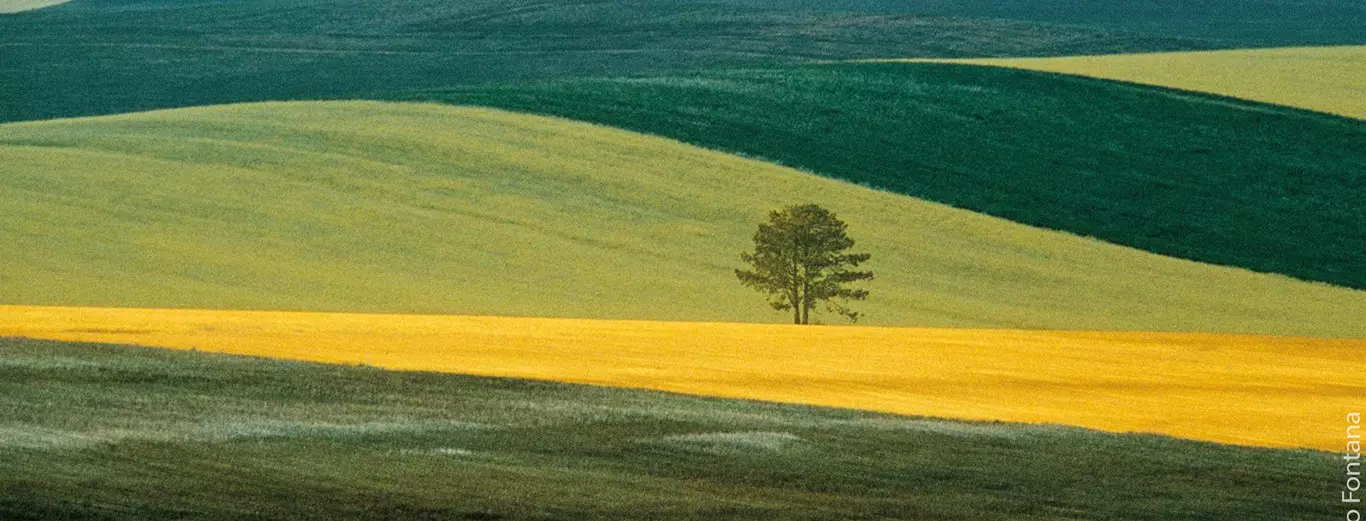 Franco Fontana. ການຖ່າຍຮູບ ', ການວາງສະແດງ anthological ຂອງຕົ້ນສະບັບຂອງສີ abstract