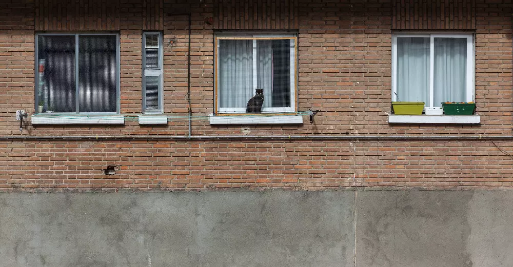 Kako izostriti naše fotografije s tehniko ločevanja frekvenc