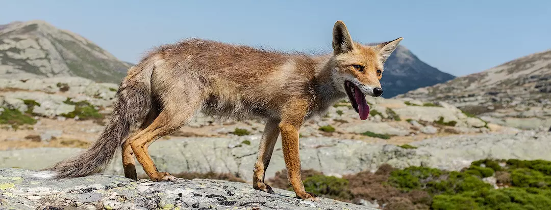 Hvordan eksponere riktig i digital fotografering