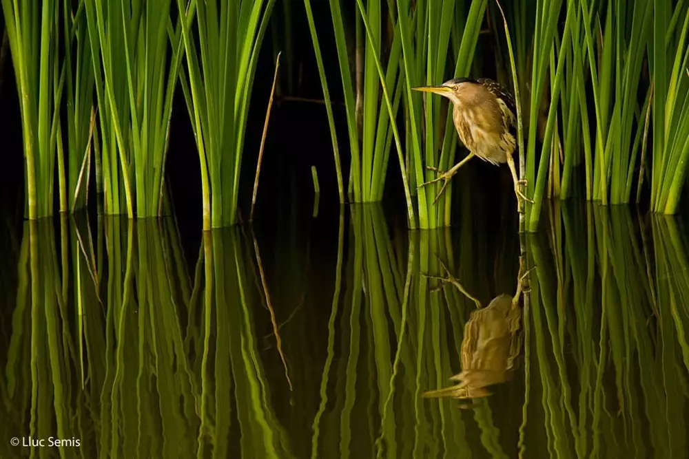 Jeunes photographes de nature 5