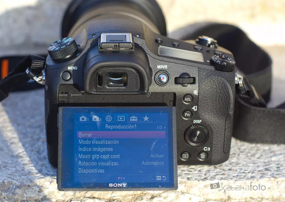 Sony Rx10 IV 12