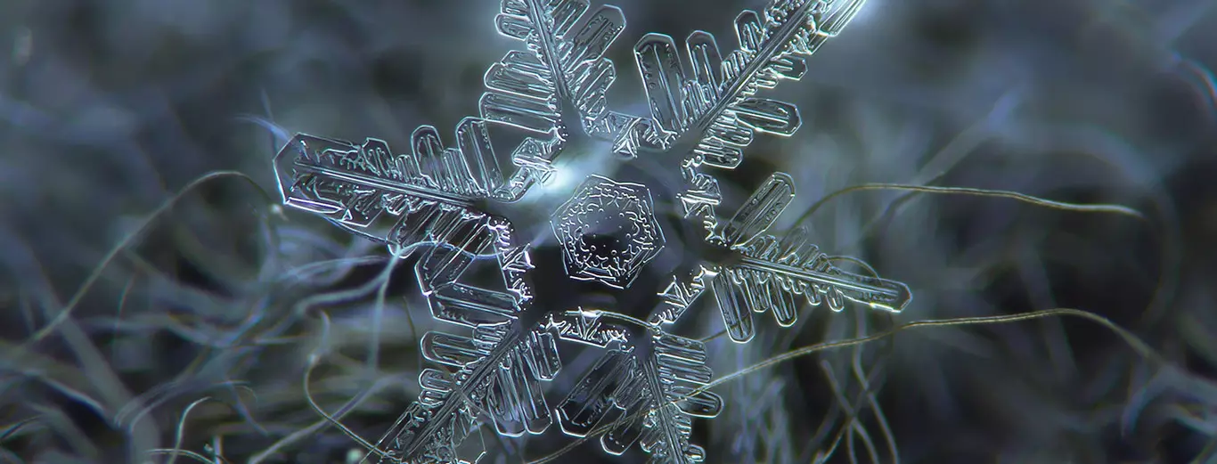'Snowflakes', d'Alexey Kljatov, varietat i bellesa dels flocs de neu