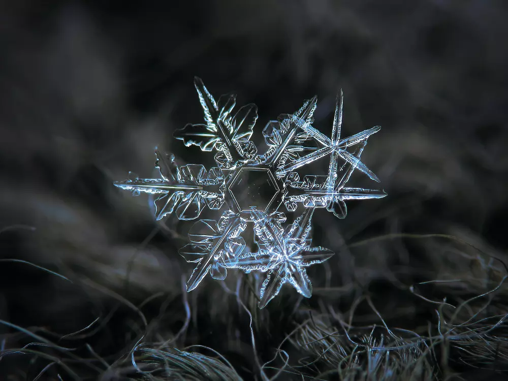 Alexey Kljatov Snowflakes 3