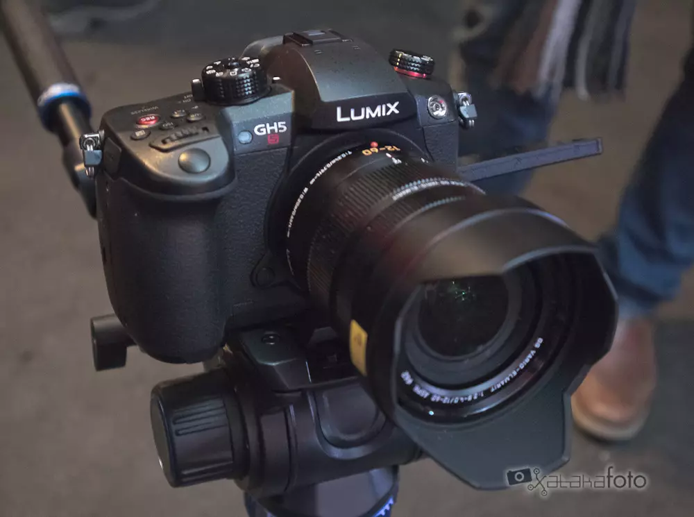 Panasonic Lumix Gh5s