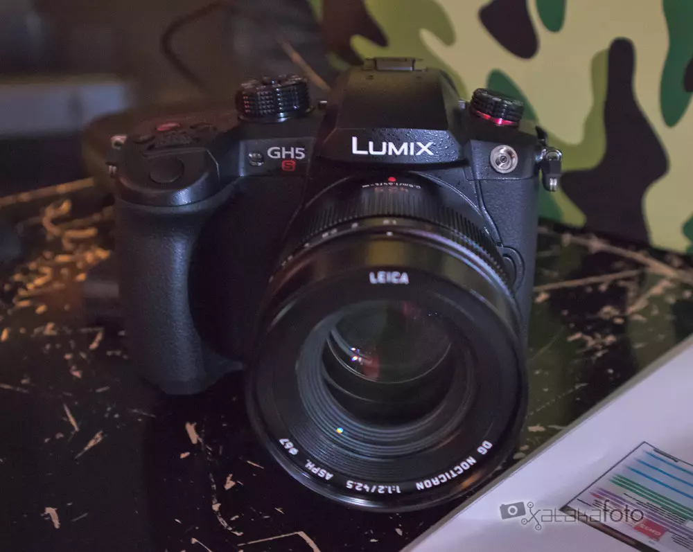 Panasonic Lumix Gh5s 9b