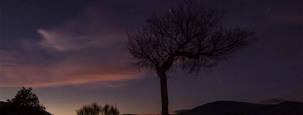 La mia lettera ai Re Magi come fotografa (e no, non è una nuova fotocamera o obiettivo)