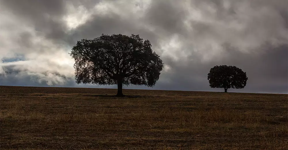 Twee manieren om foto's van Lightroom naar Photoshop te krijgen