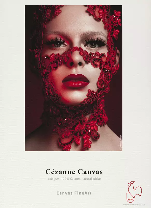 Hahnemuhle Cezanne Canvas 02