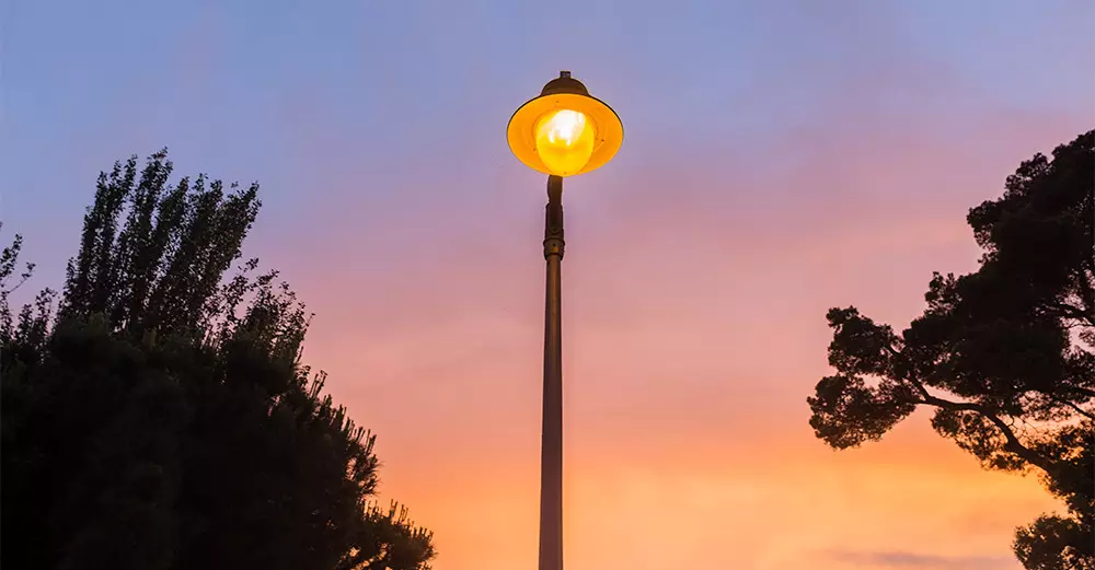 Kuidas töötada Adobe Lightroomis kaameraprofiilidega