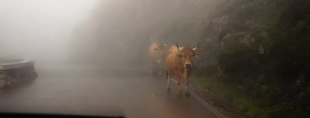 5 trikova za dobivanje fotografija bez strepnje u slučaju da zaboravimo stativ